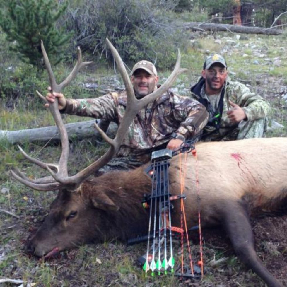 Elk - Gage Outdoor Expeditions